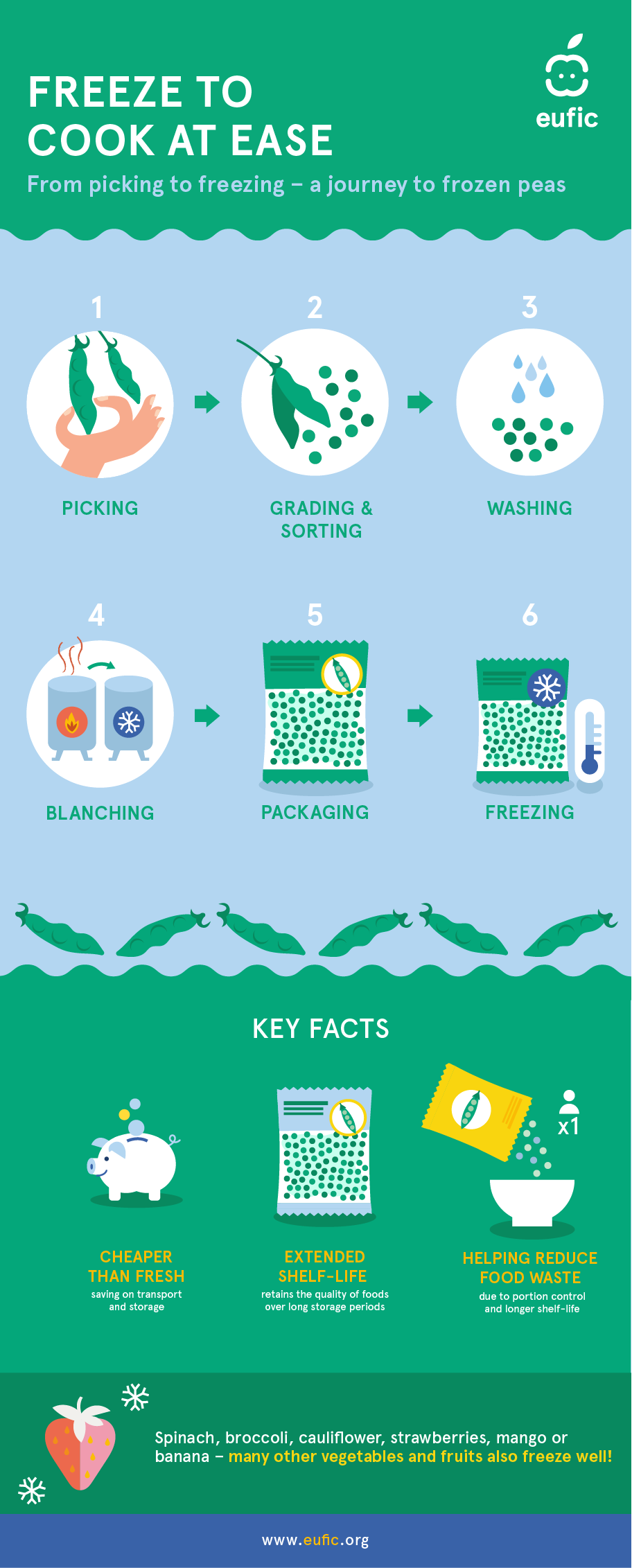 Frozen Peas (Infographic) | Eufic