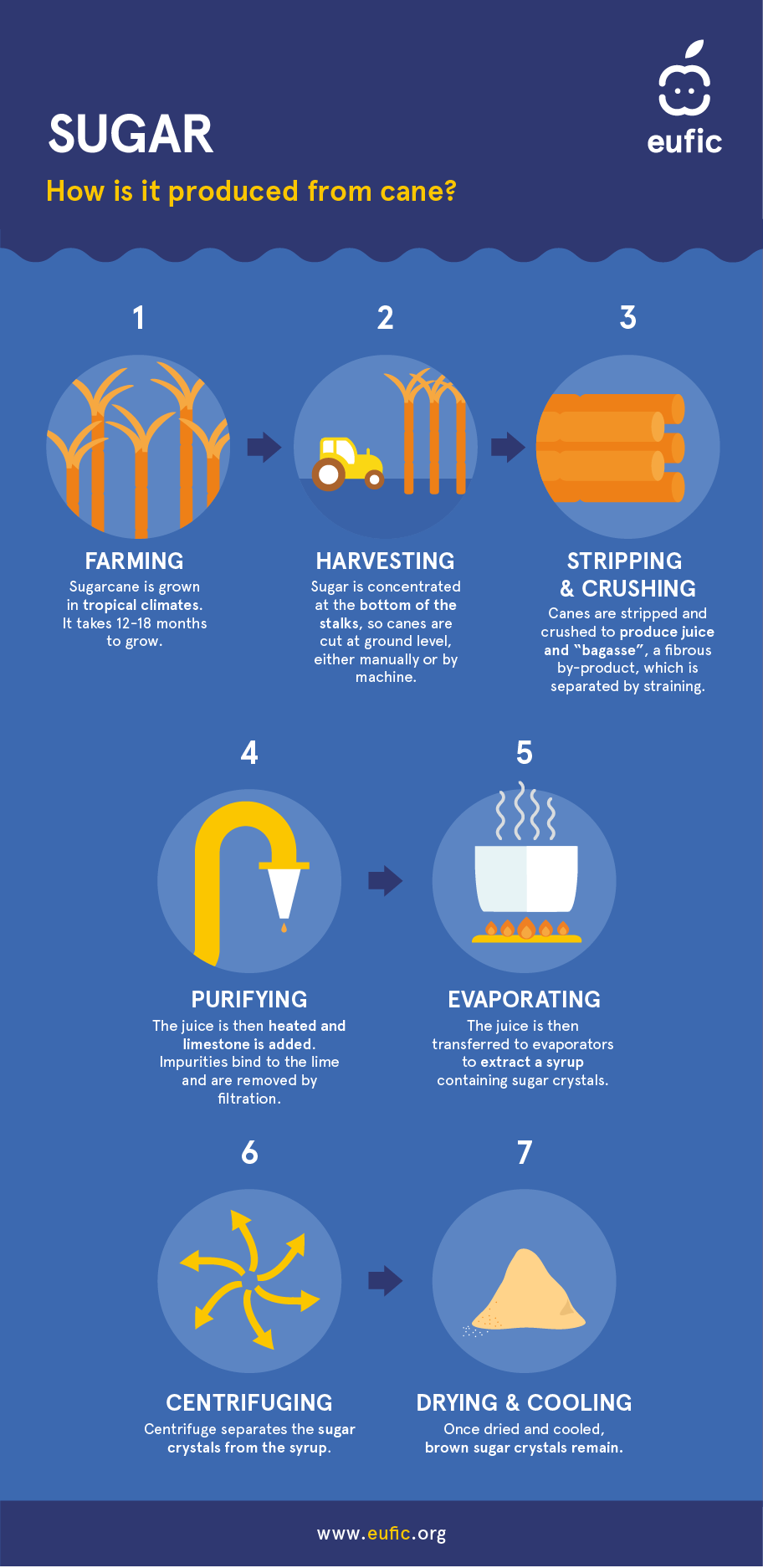 Sugar - how is produced from cane? | Eufic