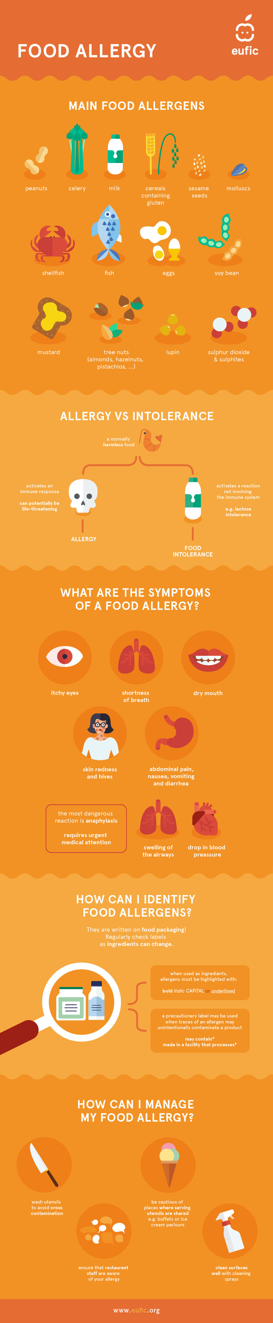 Food Allergen Infographic | Eufic