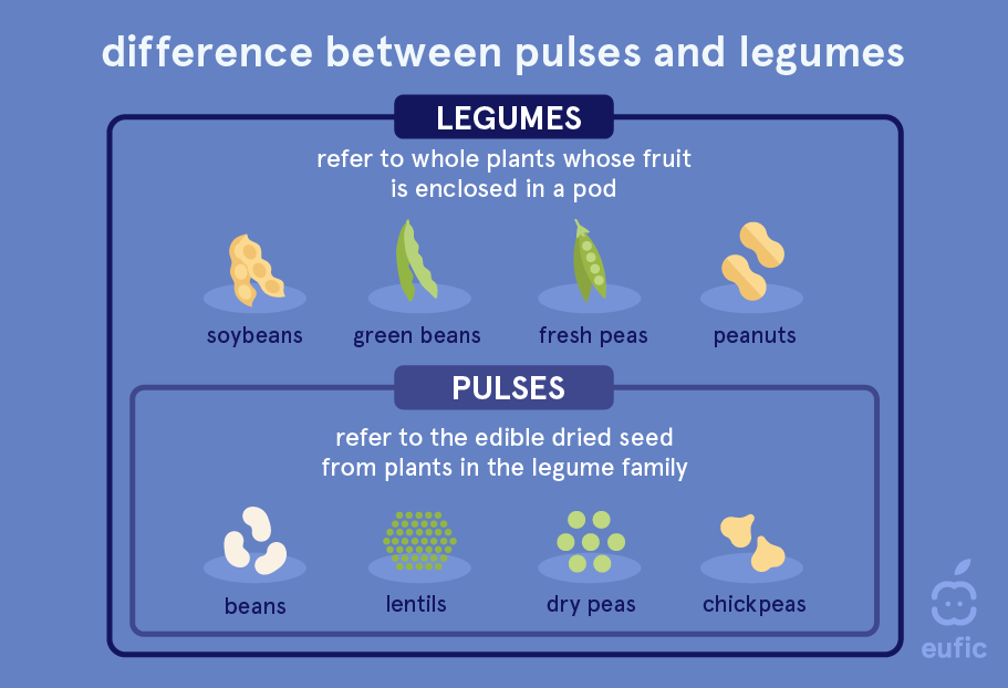 Pulses (Q&A) | Eufic