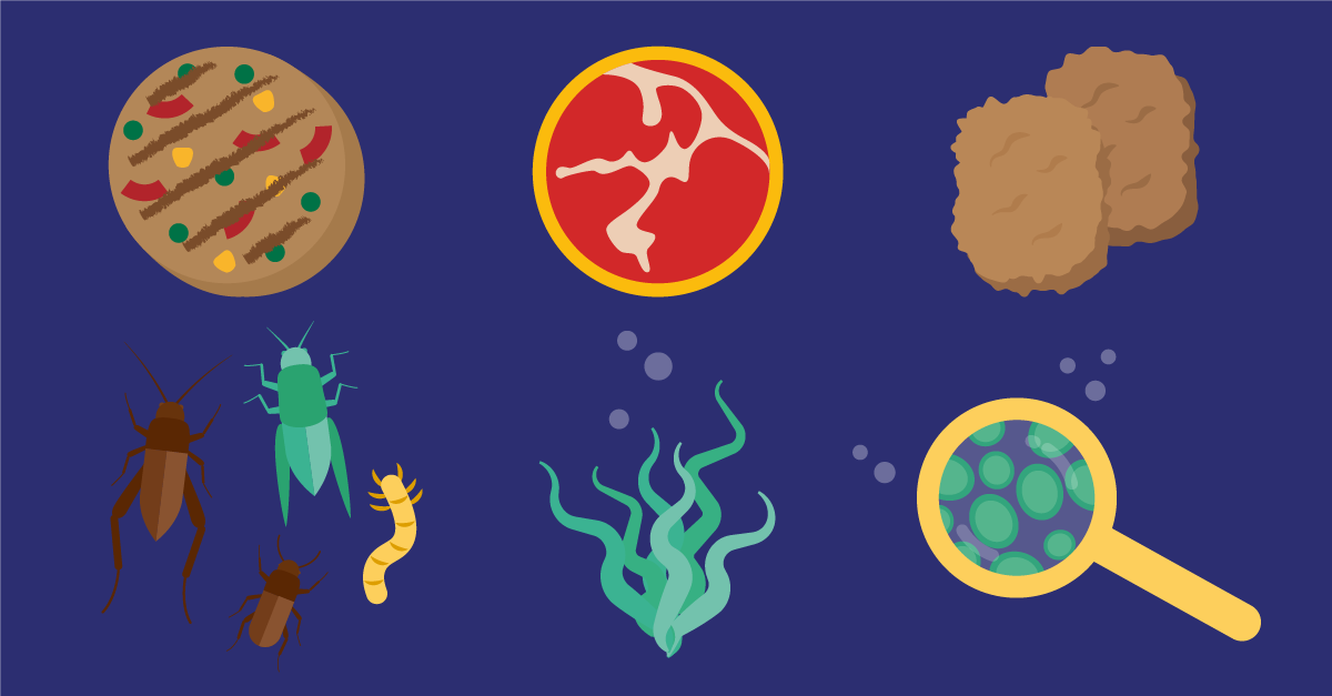 5 fuentes de proteínas alternativas a la carne que marcan tendencia en ...